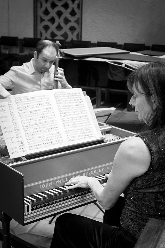 Alison Luedecke, Organist & Harpsichordist