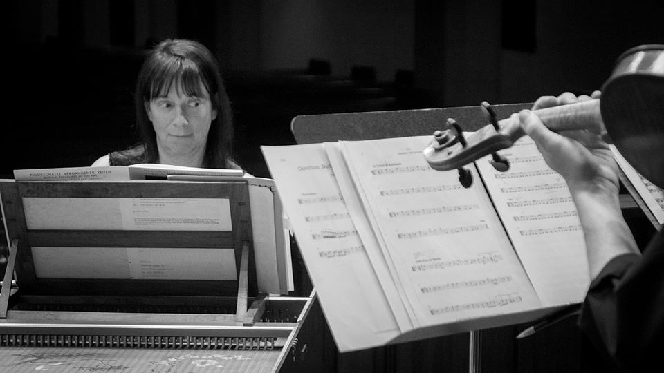 Alison Luedecke, Organist & Harpsichordist
