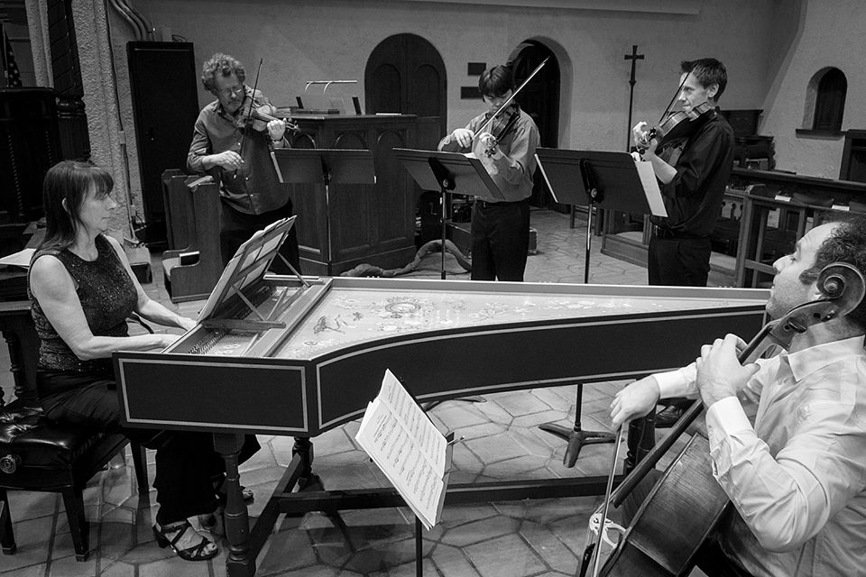 Alison Luedecke, Organist & Harpsichordist