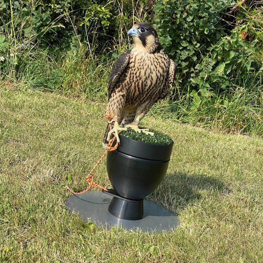 Falconry Equipment |Falconry Travel Box|Animal Transit Boxes