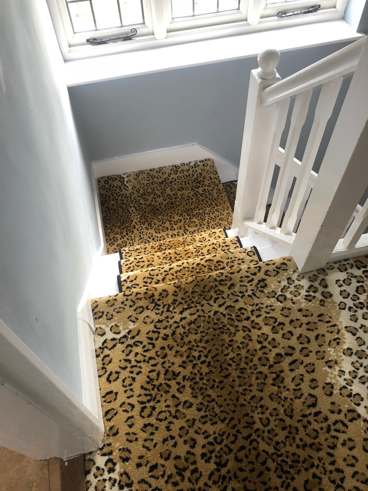 Would an animal print floor covering suit your home in Finchley?