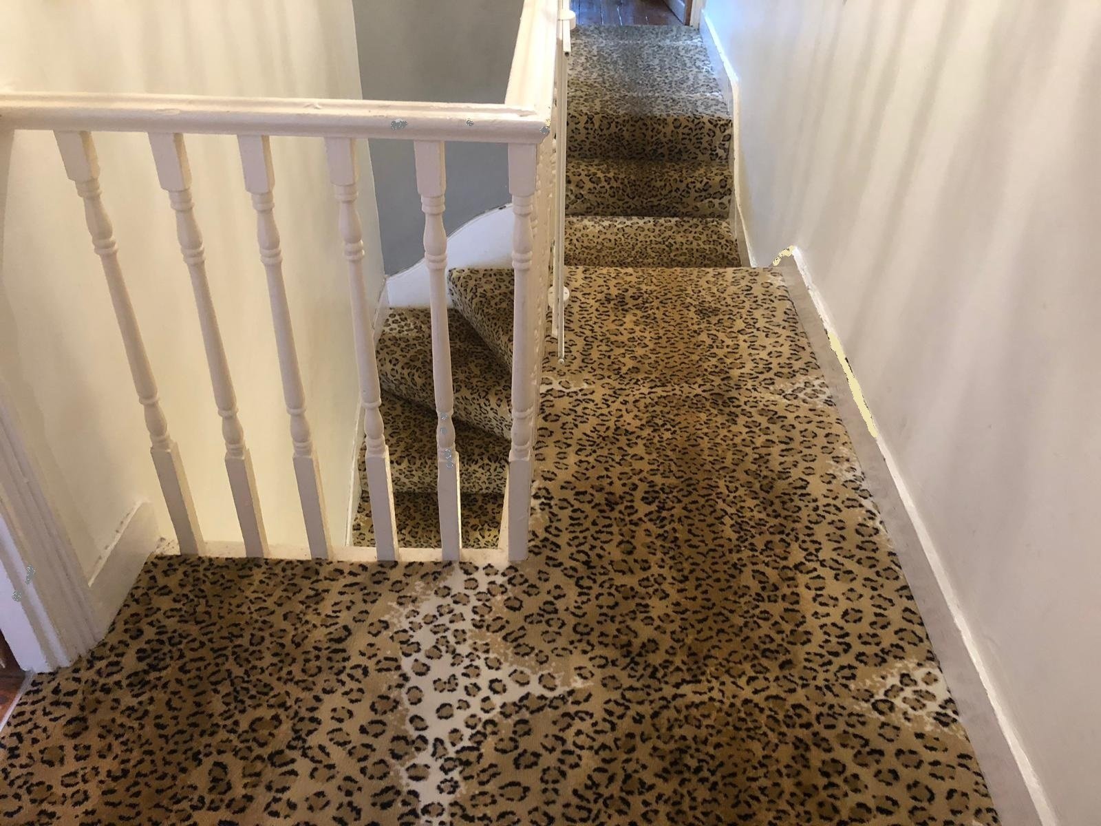 Would an animal print floor covering suit your home in Finchley?