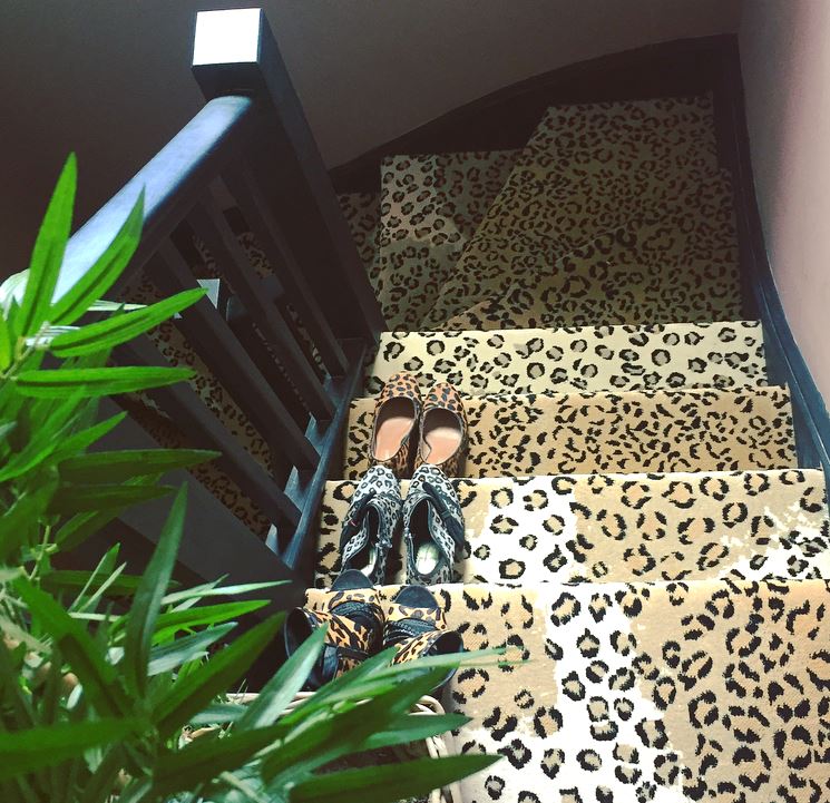 Stylish carpets from Animal Print Carpets in the UK