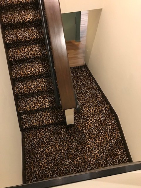 Would an animal print floor covering suit your home in Finchley?