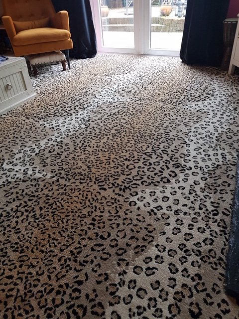 Would an animal print floor covering suit your home in Finchley?