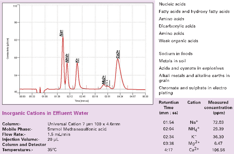 CROMATOGRAFIA IONICA IONQUEST - Opera - Milano - Erreci srl