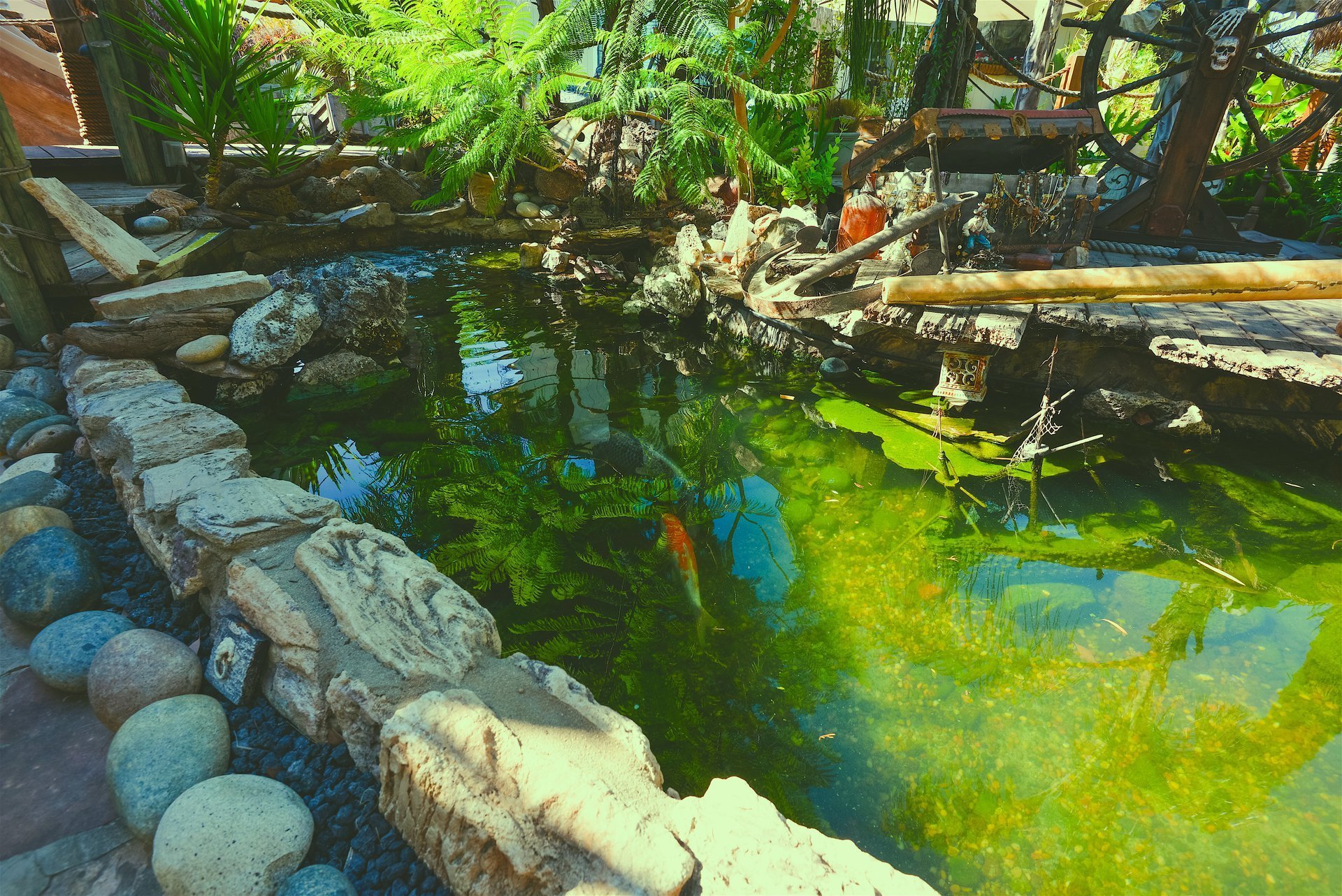 Gallery | Morgan's Cove