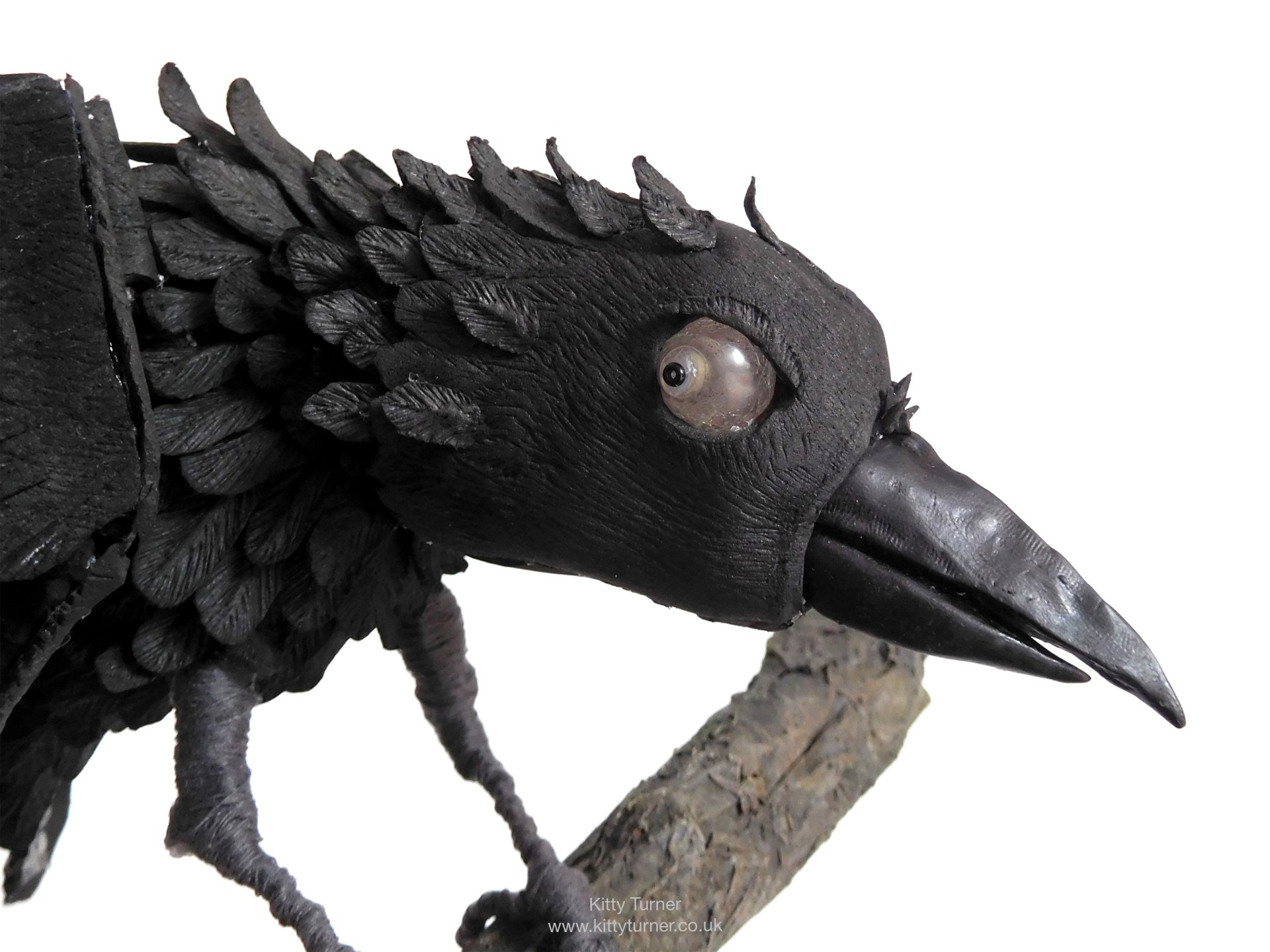 Crow Model