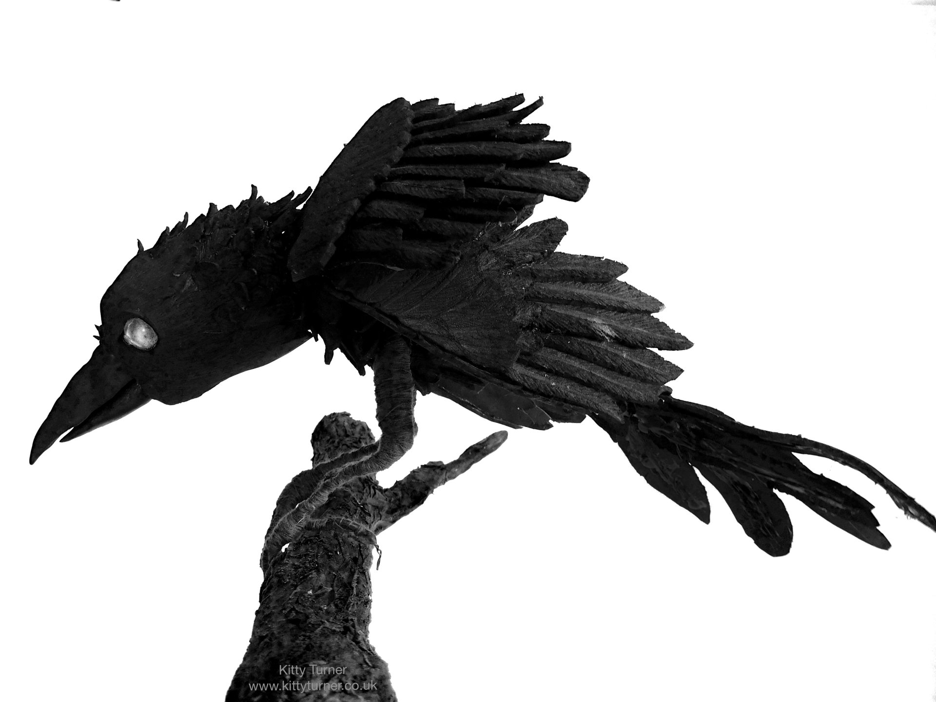 Crow Model