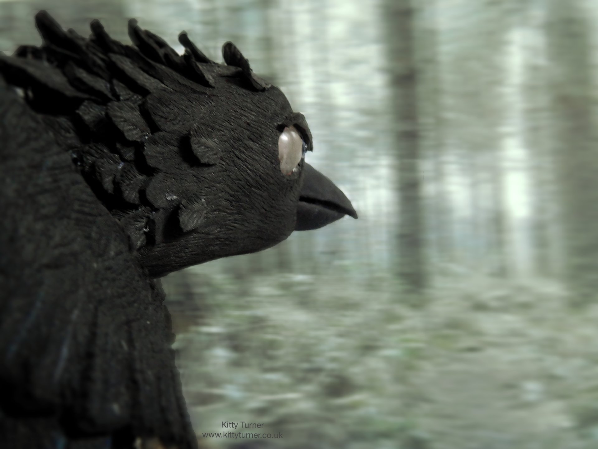 Crow Model