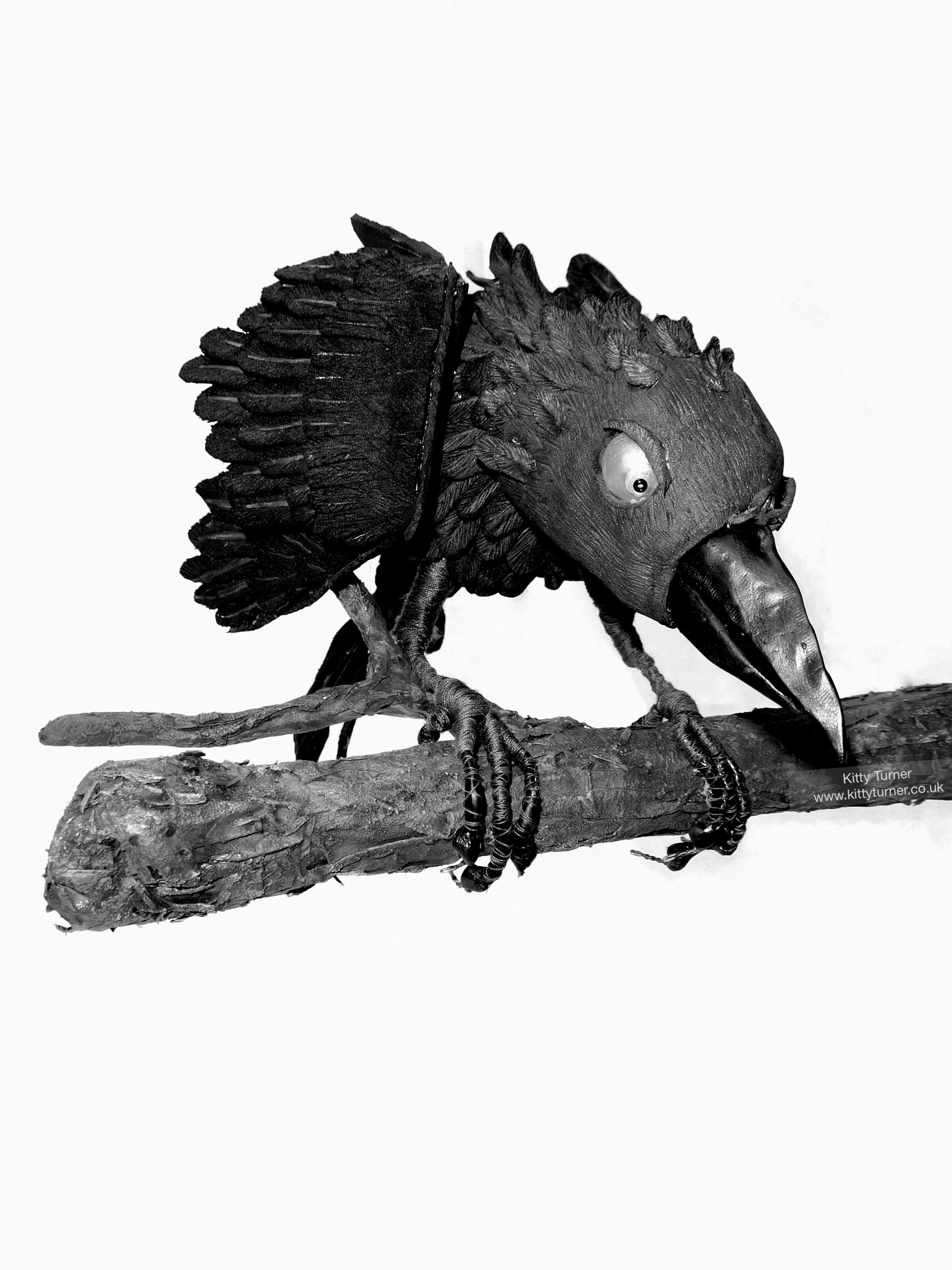 Crow Model