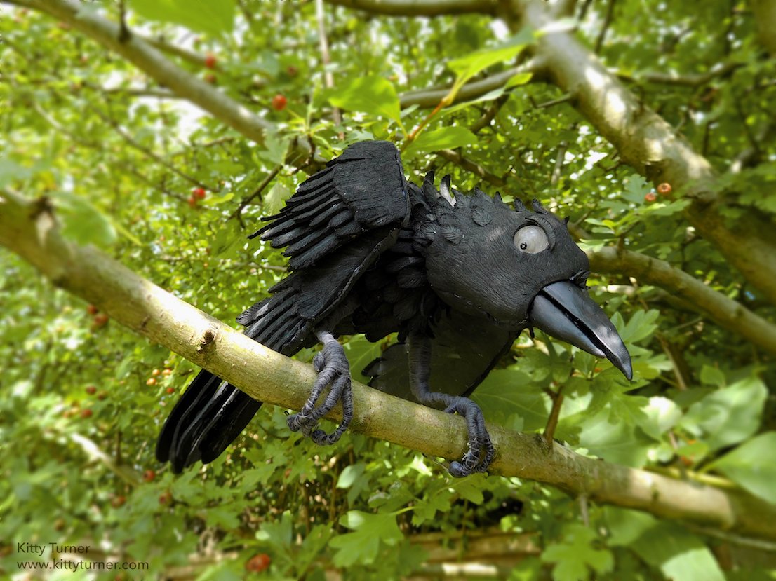 Crow Model