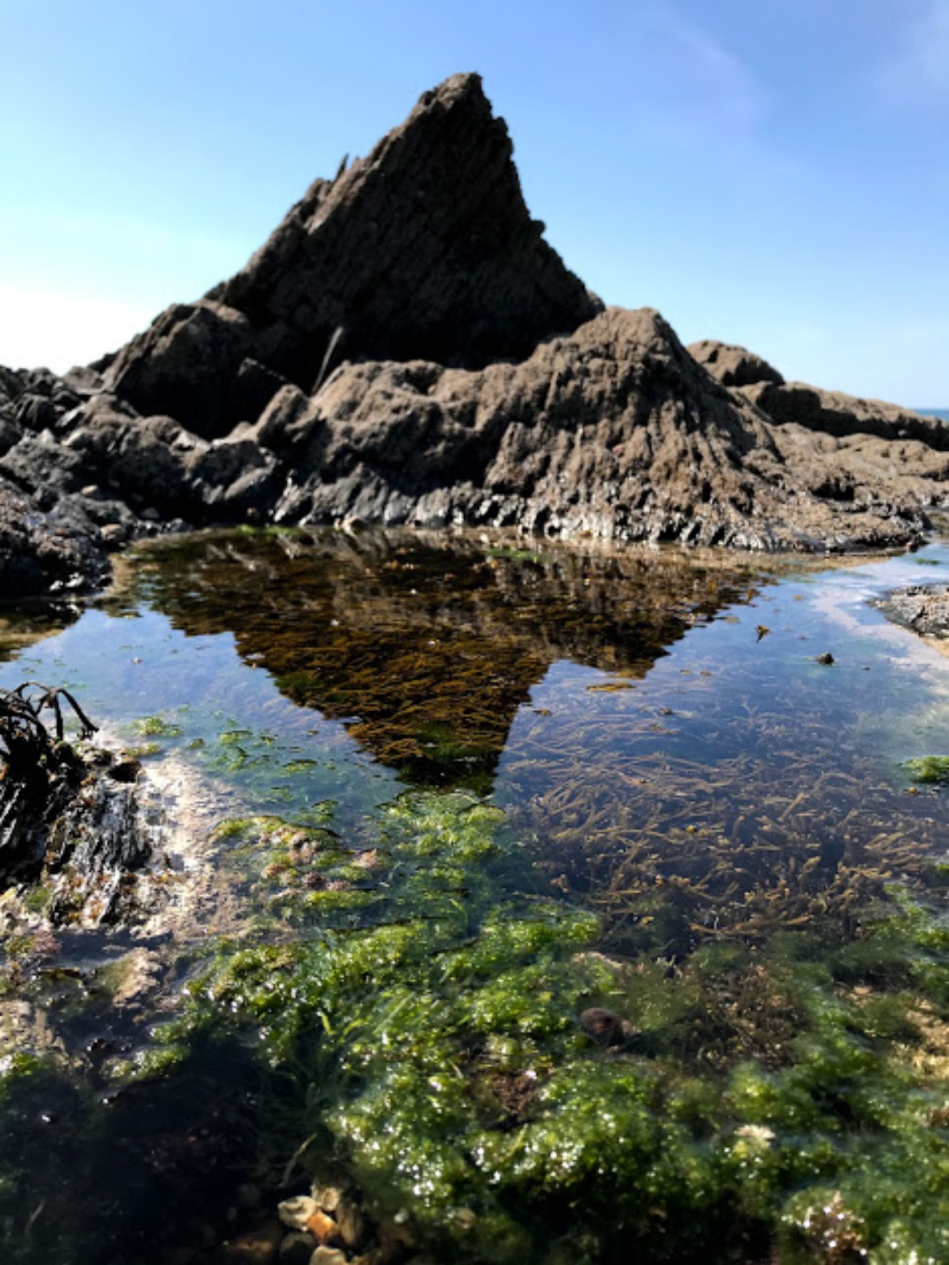 Rock pooling in Westward Ho! Exploring, finding nature
