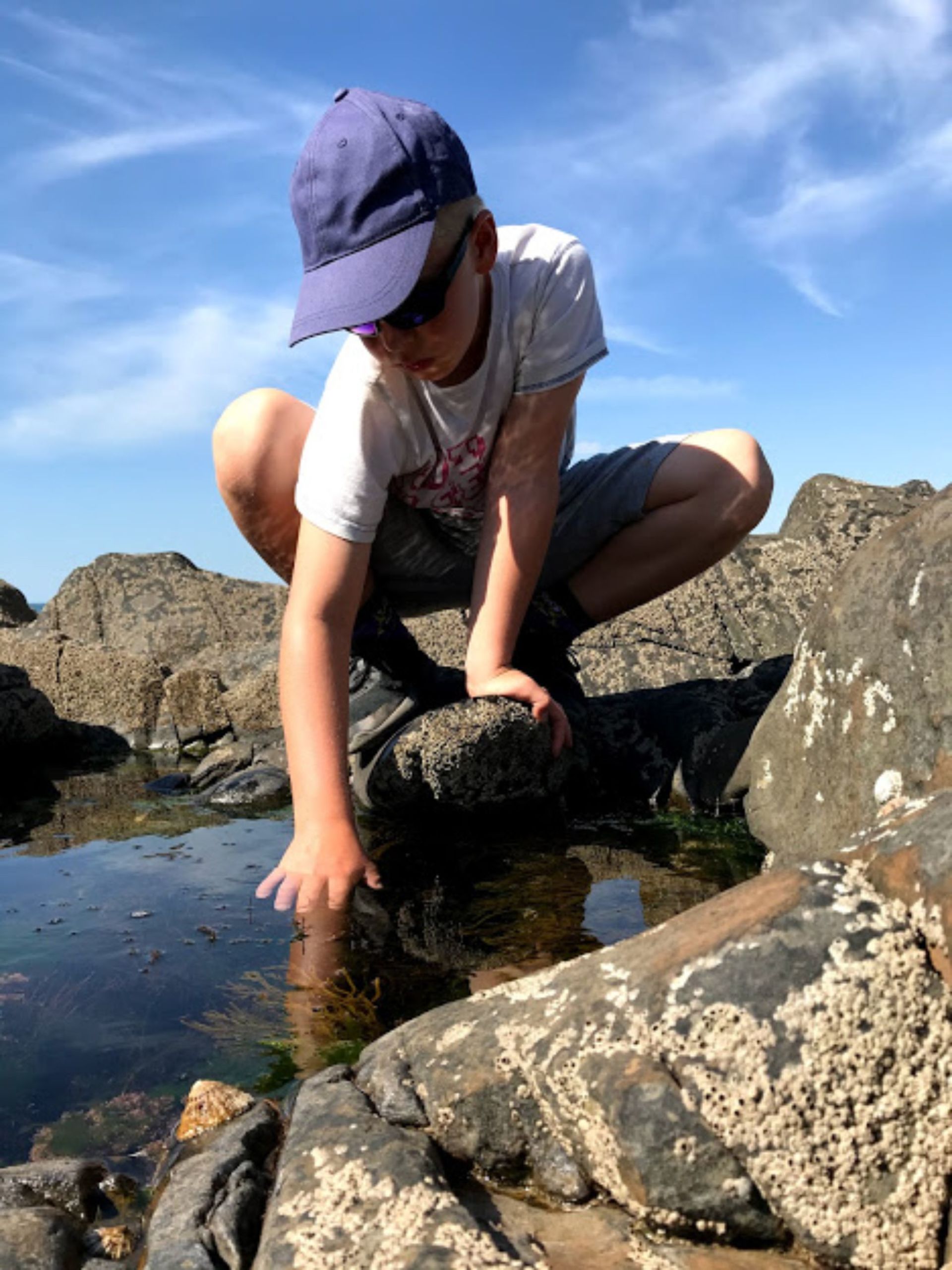 Rock pooling in Westward Ho! Exploring, finding nature