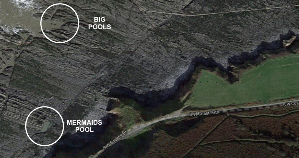 Rock pooling in Westward Ho! Exploring, finding nature