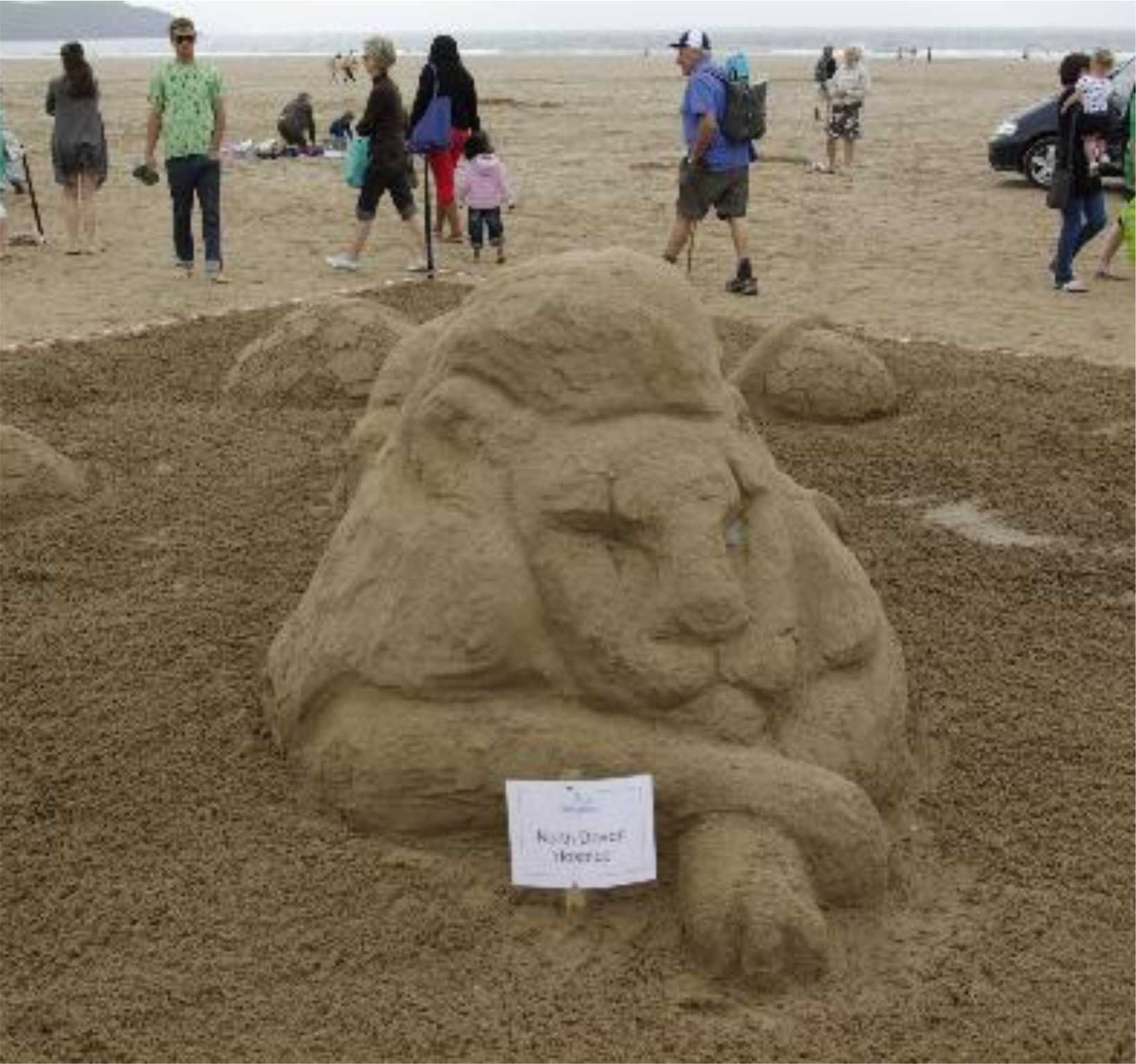 National Sandcastle Competition