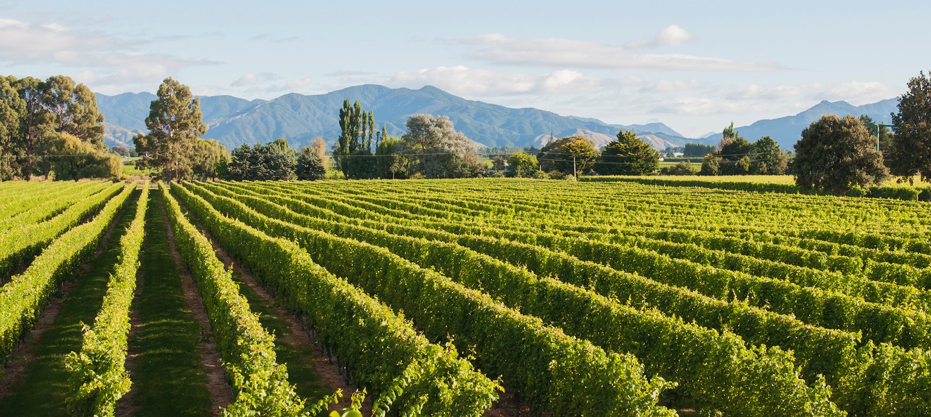 Montgomery's Vineyard Accommodation | Prices