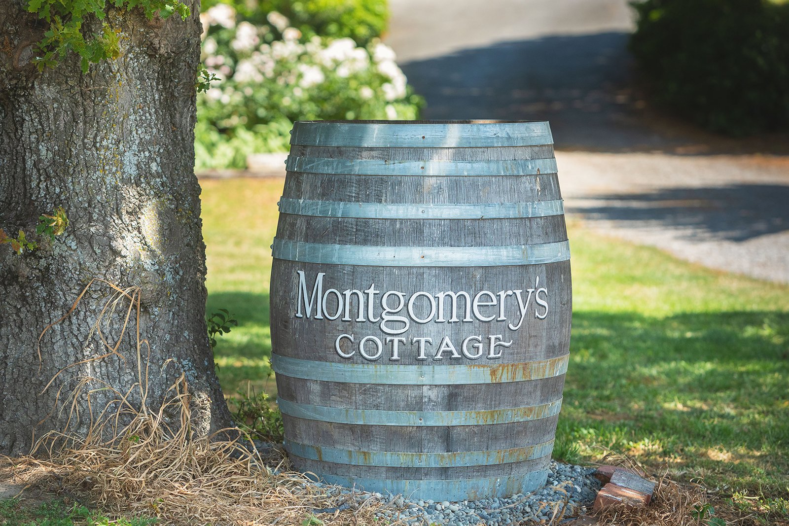 Montgomery's Vineyard Accommodation | Gallery