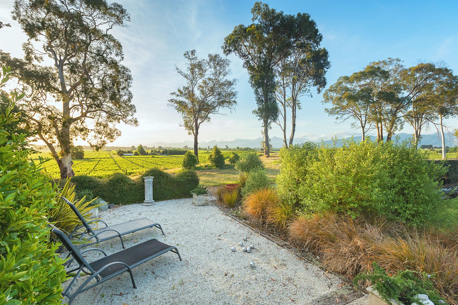 Montgomery's Vineyard Accommodation | Gallery