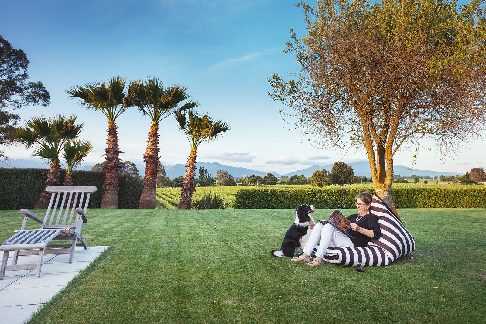 Montgomery's Vineyard Accommodation | Gallery
