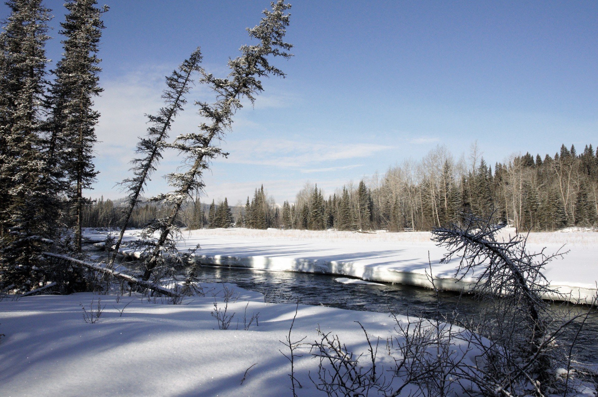 Living | Redwood Meadows Townsite