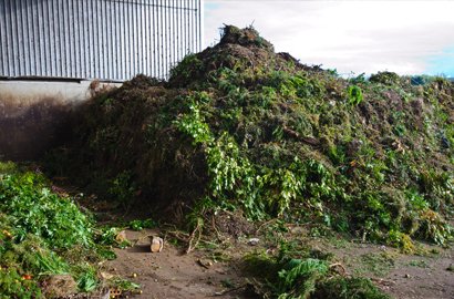 Garden waste removal by RWS Waste Disposal