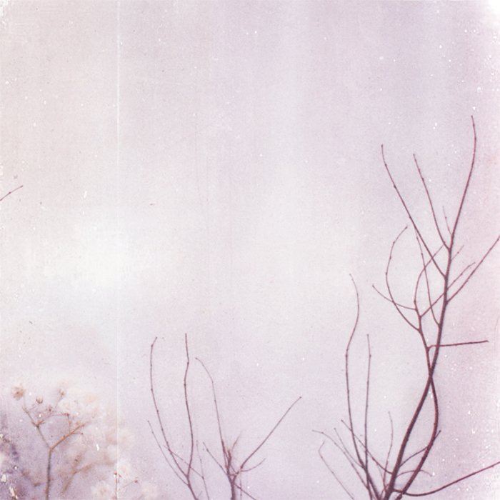 Rimel Neffati Photography