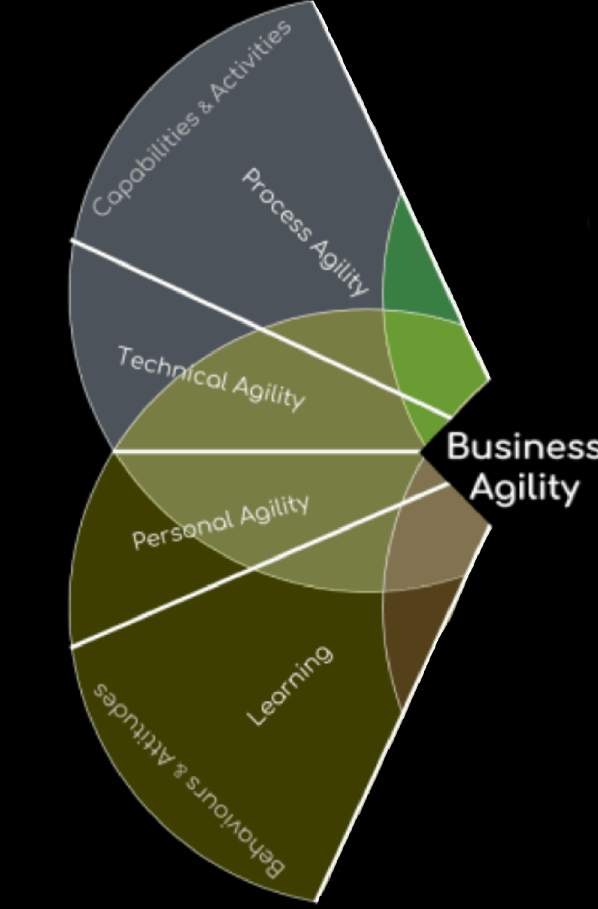 The Business Agility Model