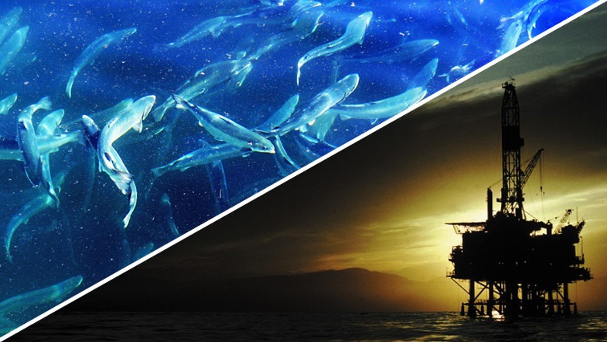 Home [www.altech.no]