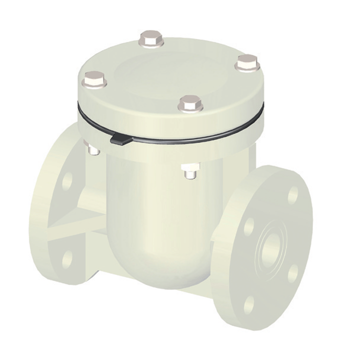 SAFI Check valves