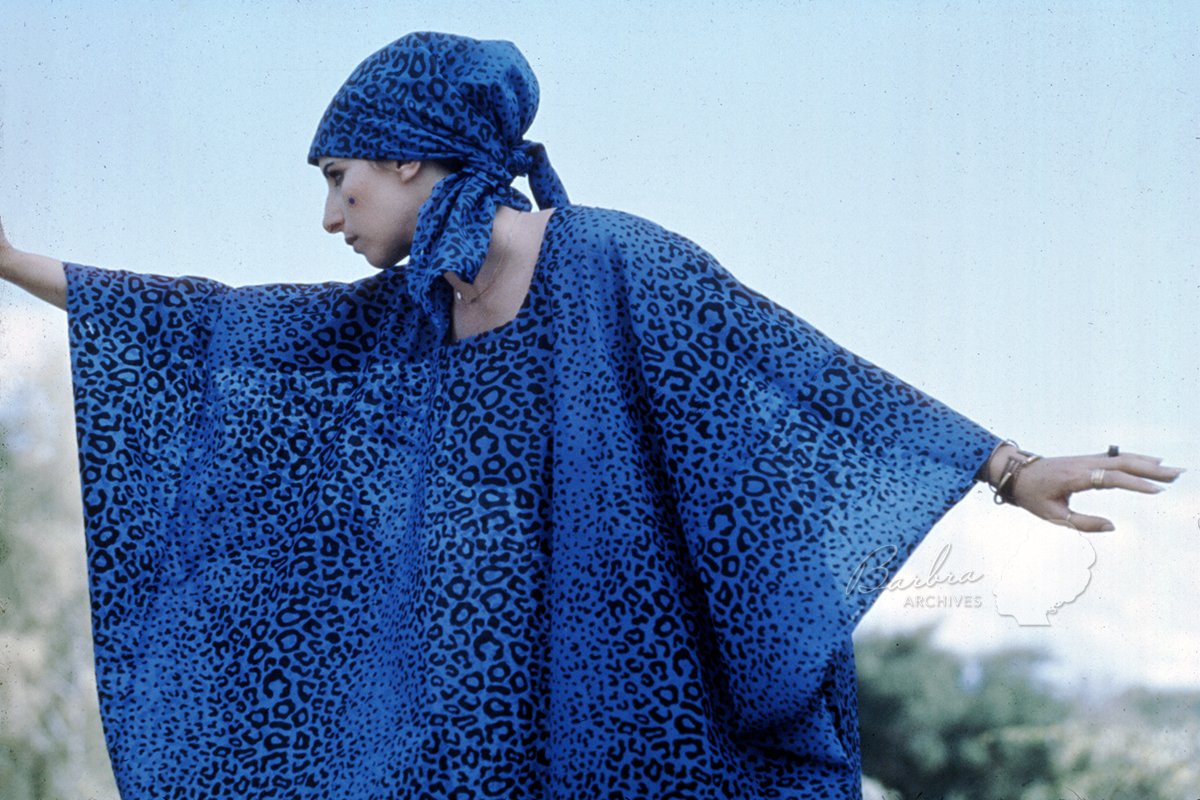 Barbra Archives | Up the Sandbox 1972 Film