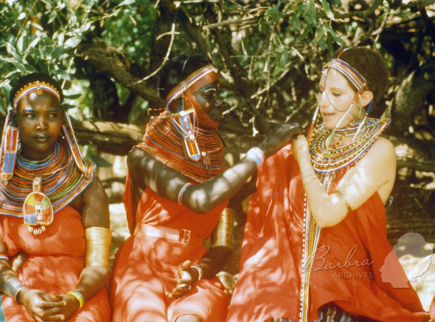 Barbra Archives | Up the Sandbox 1972 Film