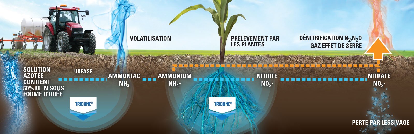 Agrocentre | Un très grand choix de matières fertilisantes