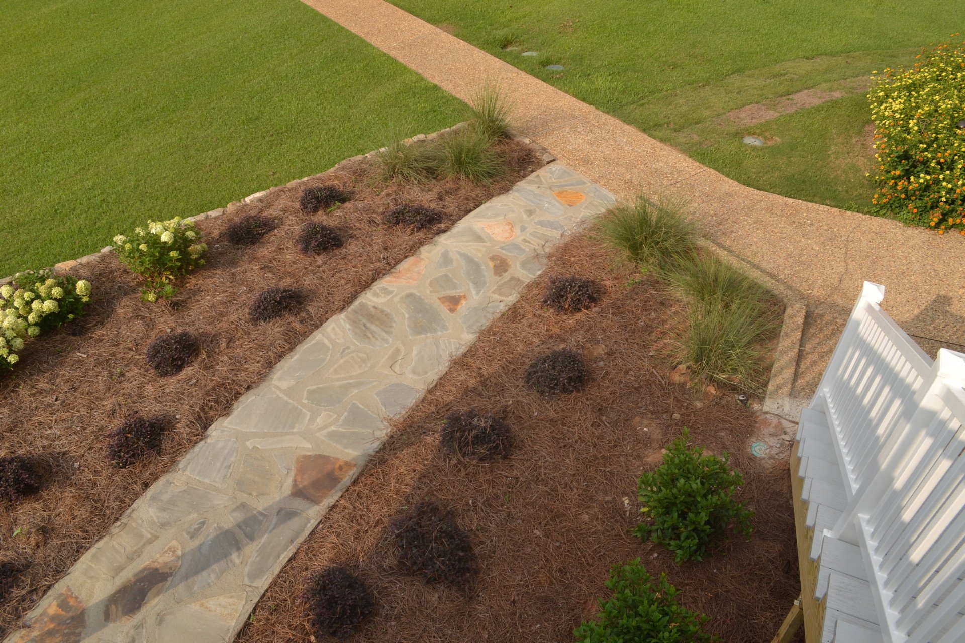Alabama Landscape Creations | Statewide Landscape Professionals
