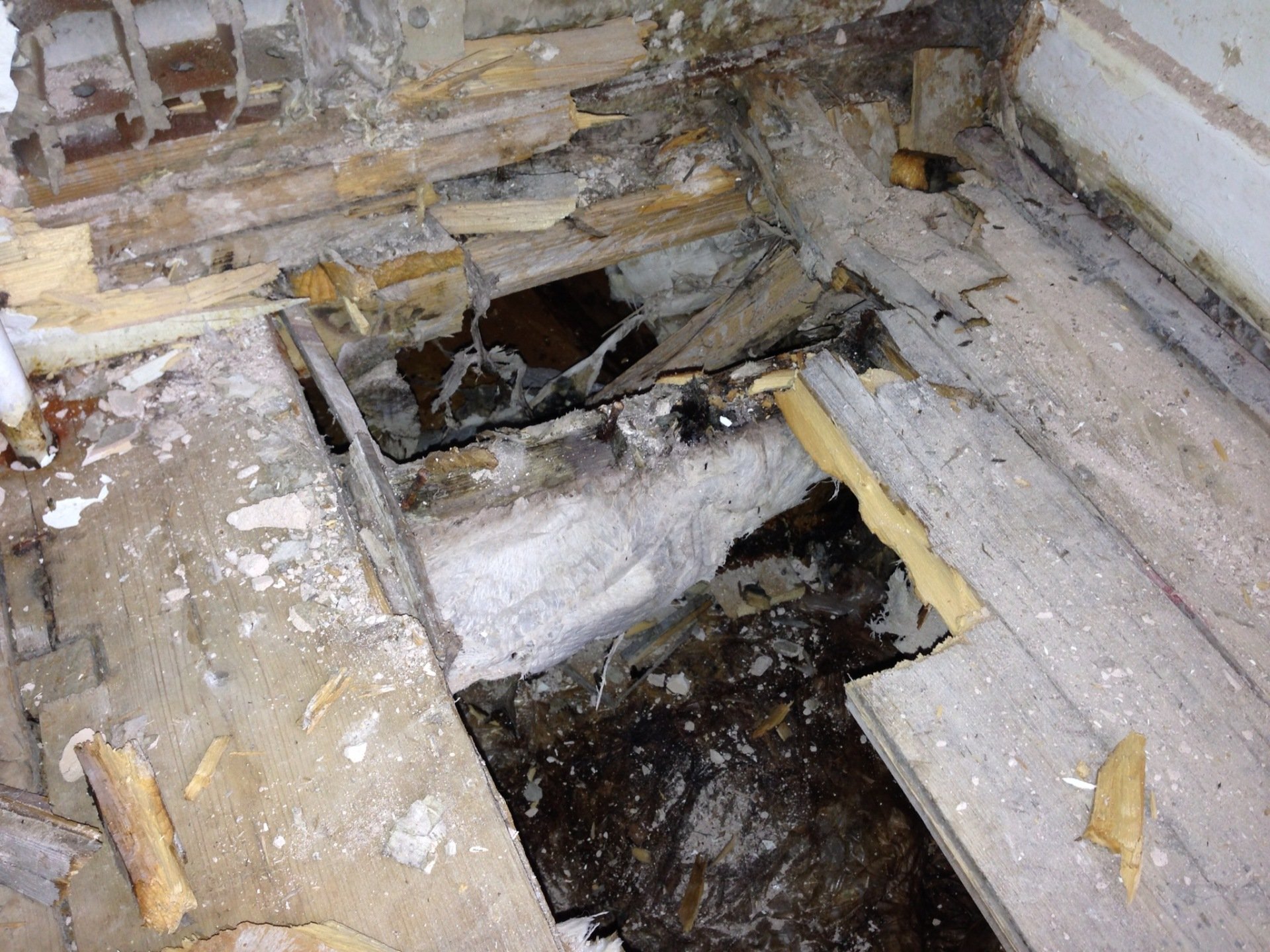 Timber treatments | David Wood Damp & Timber Treatments