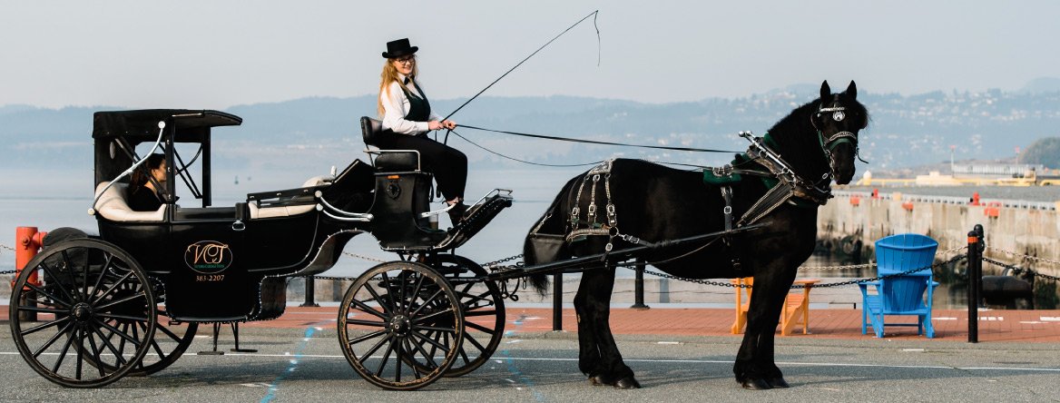Victoria Carriage Tours - Tour Information and Prices