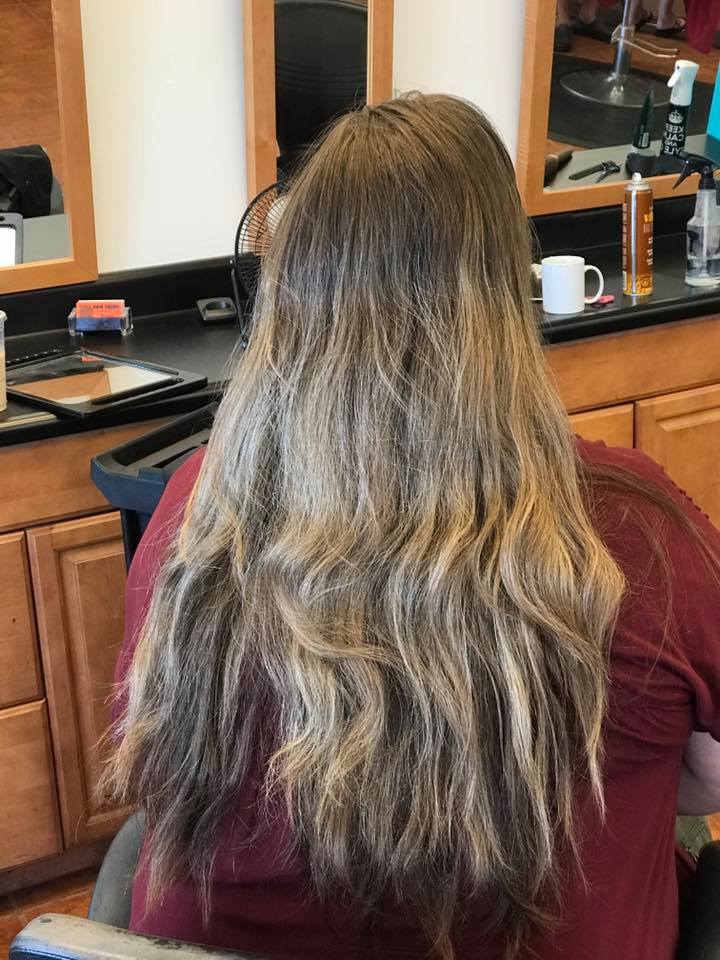 Hair Safari | Photo Gallery | Before & After