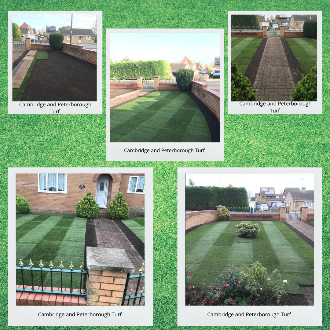 Recent Lawns