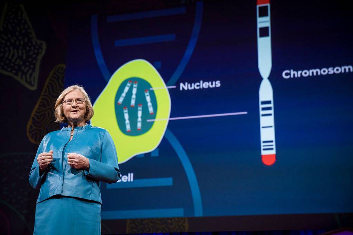 Elizabeth Blackburn