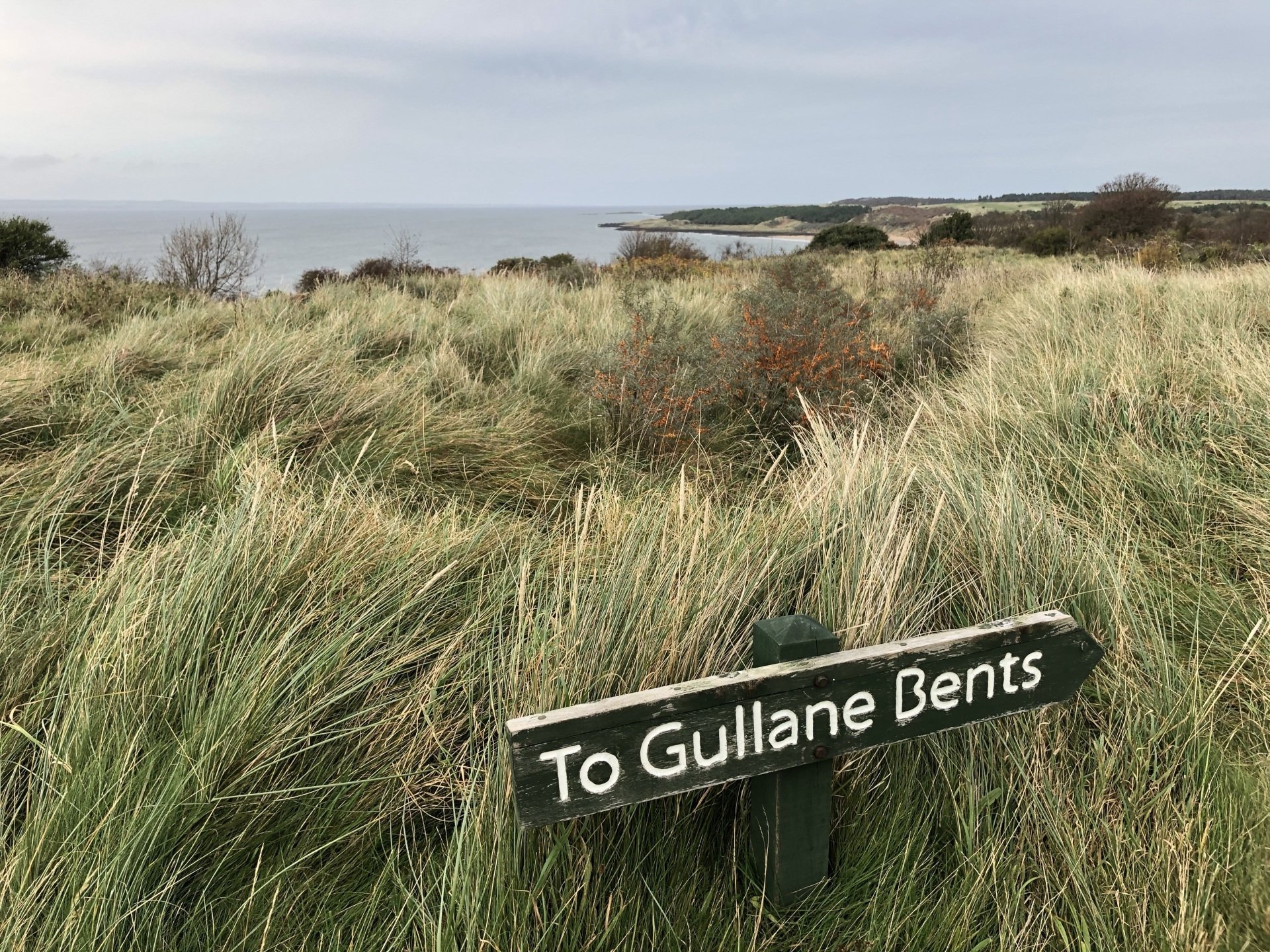 Gullane Village Association