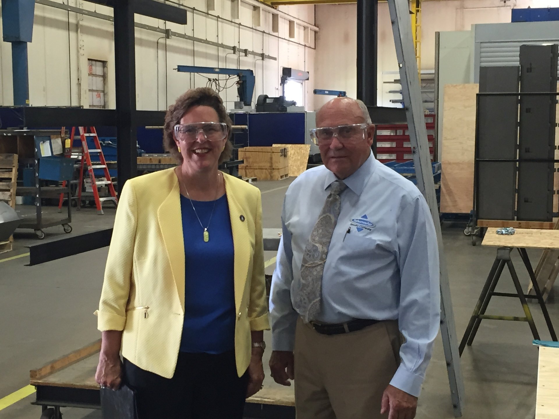 Sandy Salmon, Iowa Senate District #29