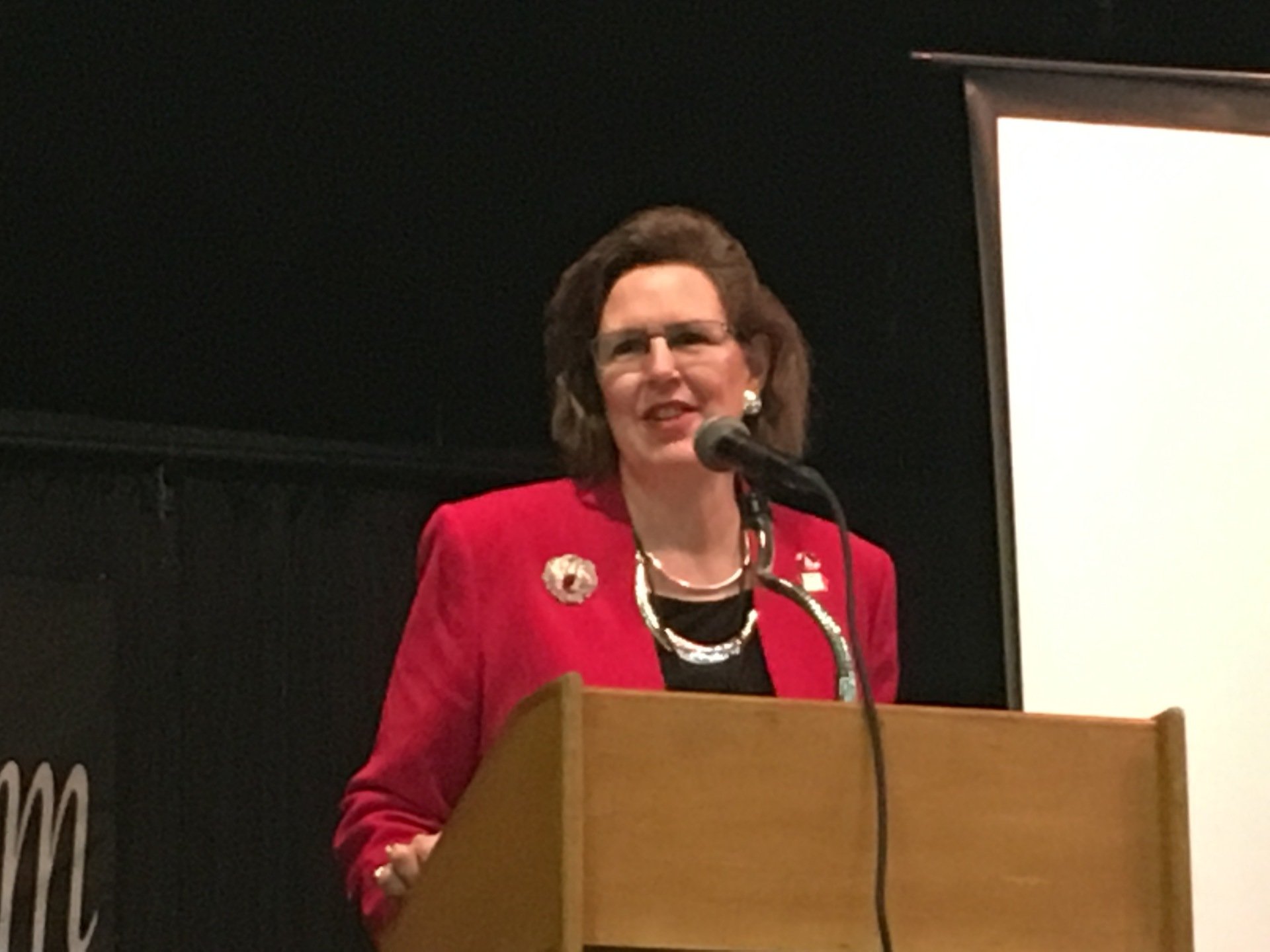 Sandy Salmon, Iowa Senate District #29