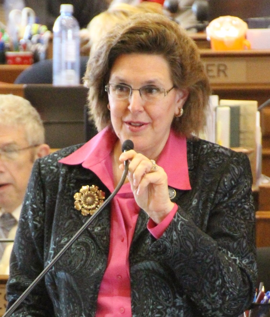 Sandy Salmon, Iowa Senate District #29