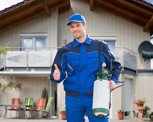 Pest Control | Billings, MT | Action Pest Control
