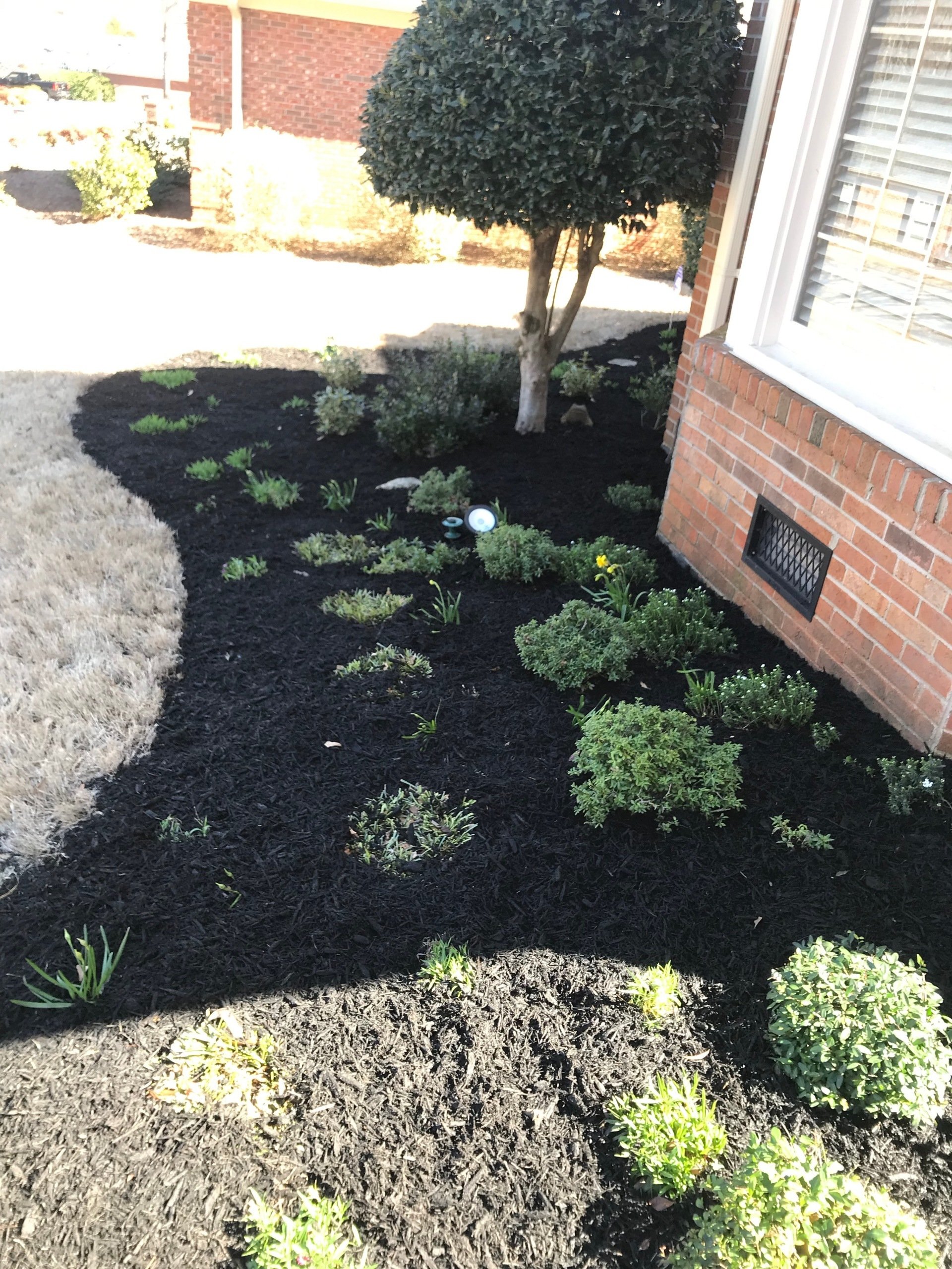 Precision Landscape Design | Greenville SC