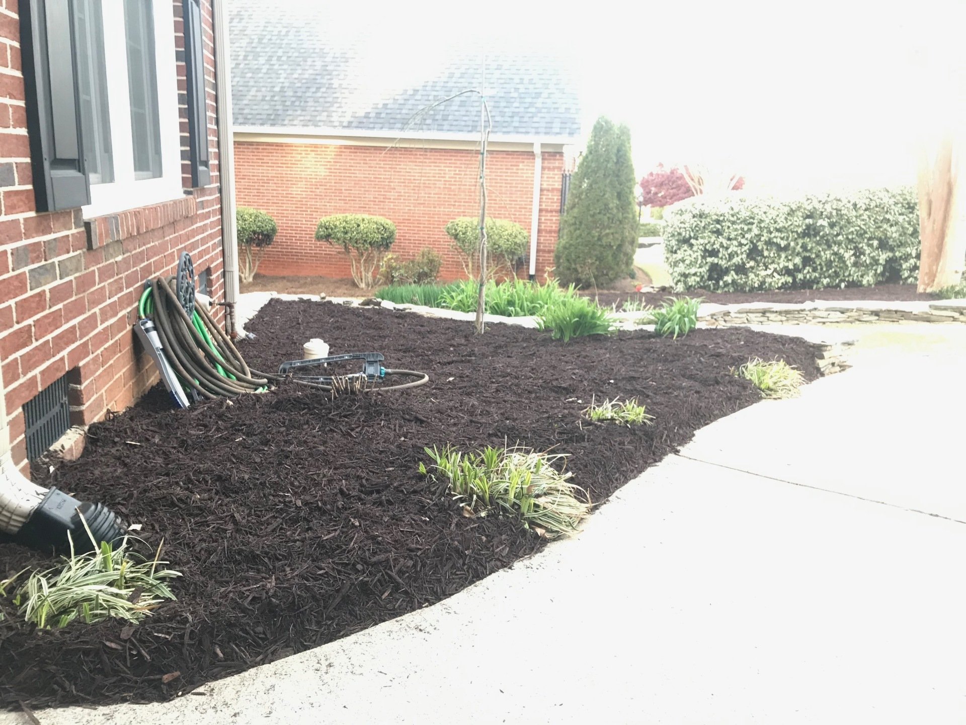 Precision Landscape Design | Greenville SC