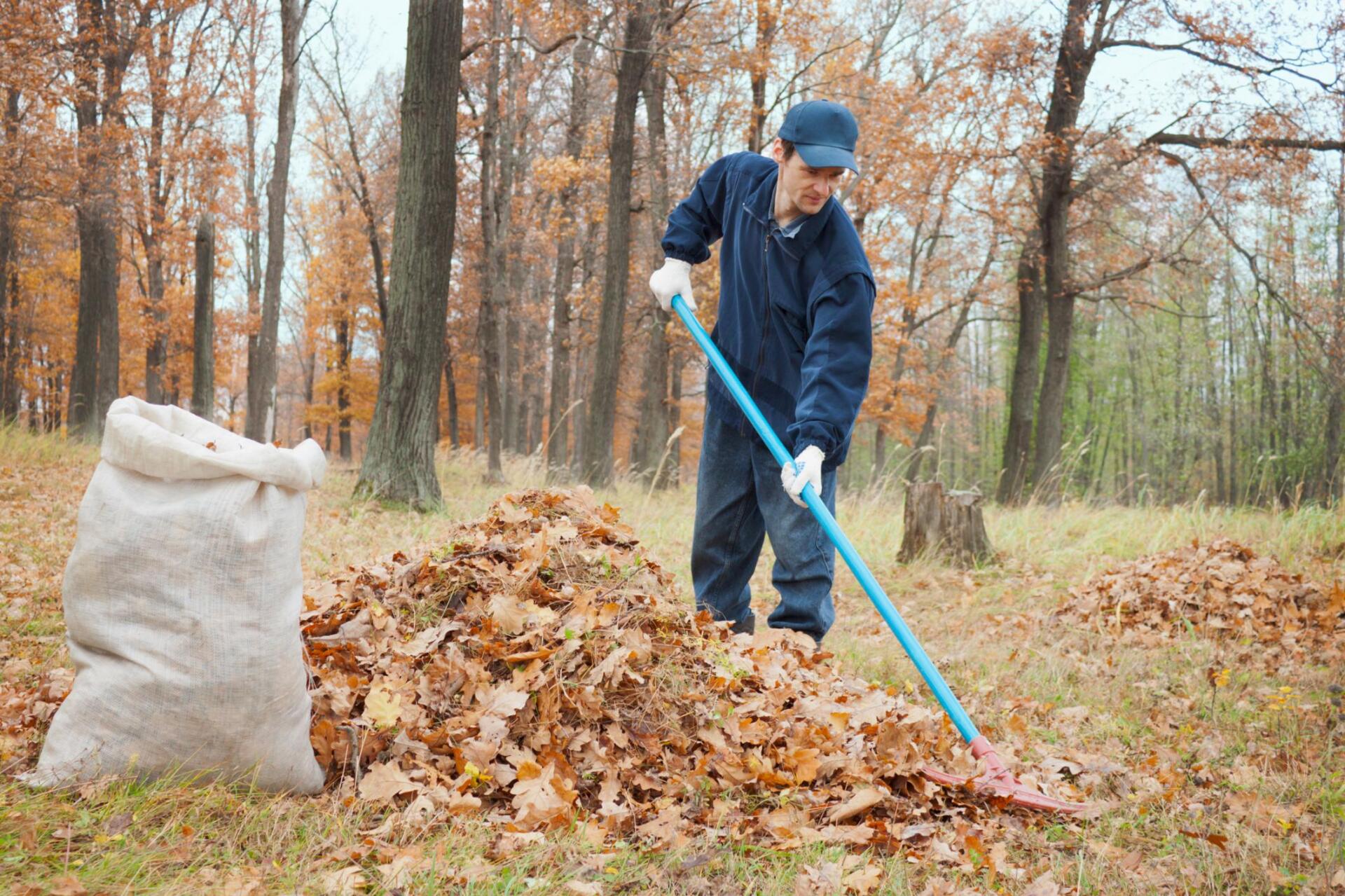 Yard Clean Up Lawn Care Near Me Lawn Care Omaha NE