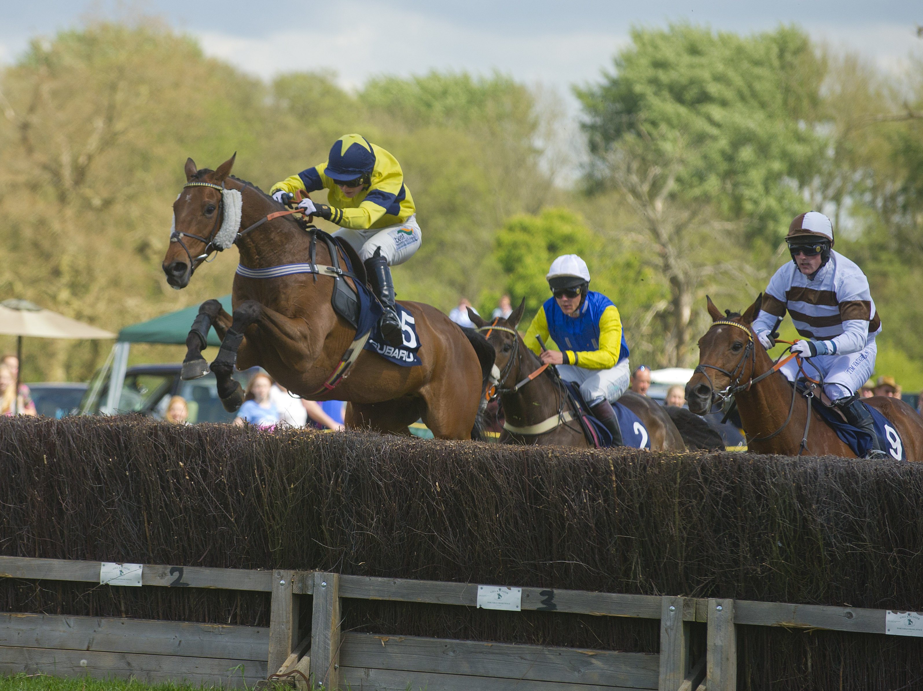 PEPER HAROW POINT TO POINT - SURREY UNION