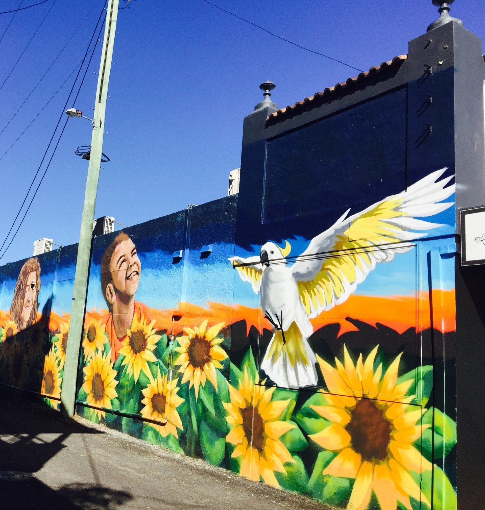 New South Wales Street Art