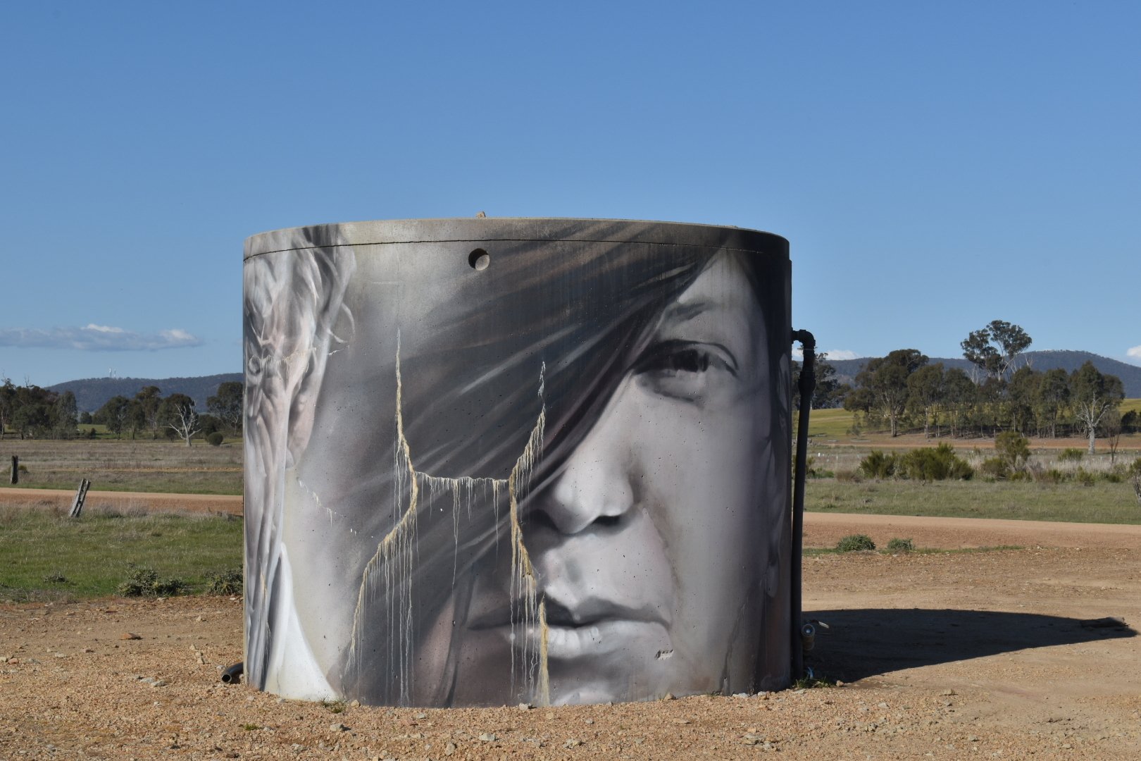 Australian Water Tower Art